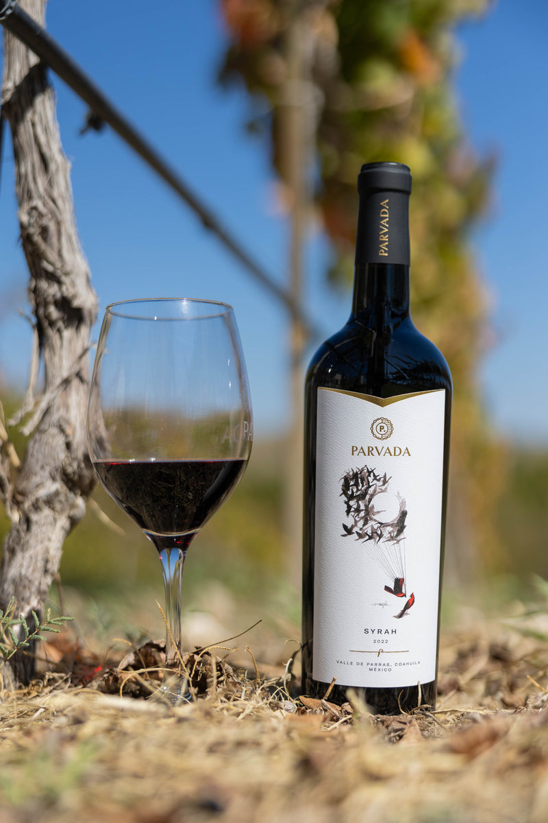 PACK PREMIUM – VINICOLA PARVADA