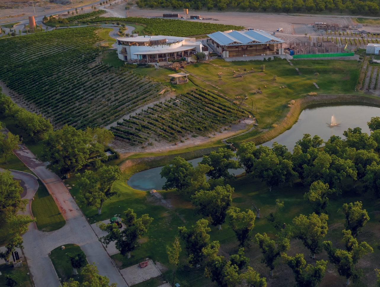 BODEGA – VINICOLA PARVADA