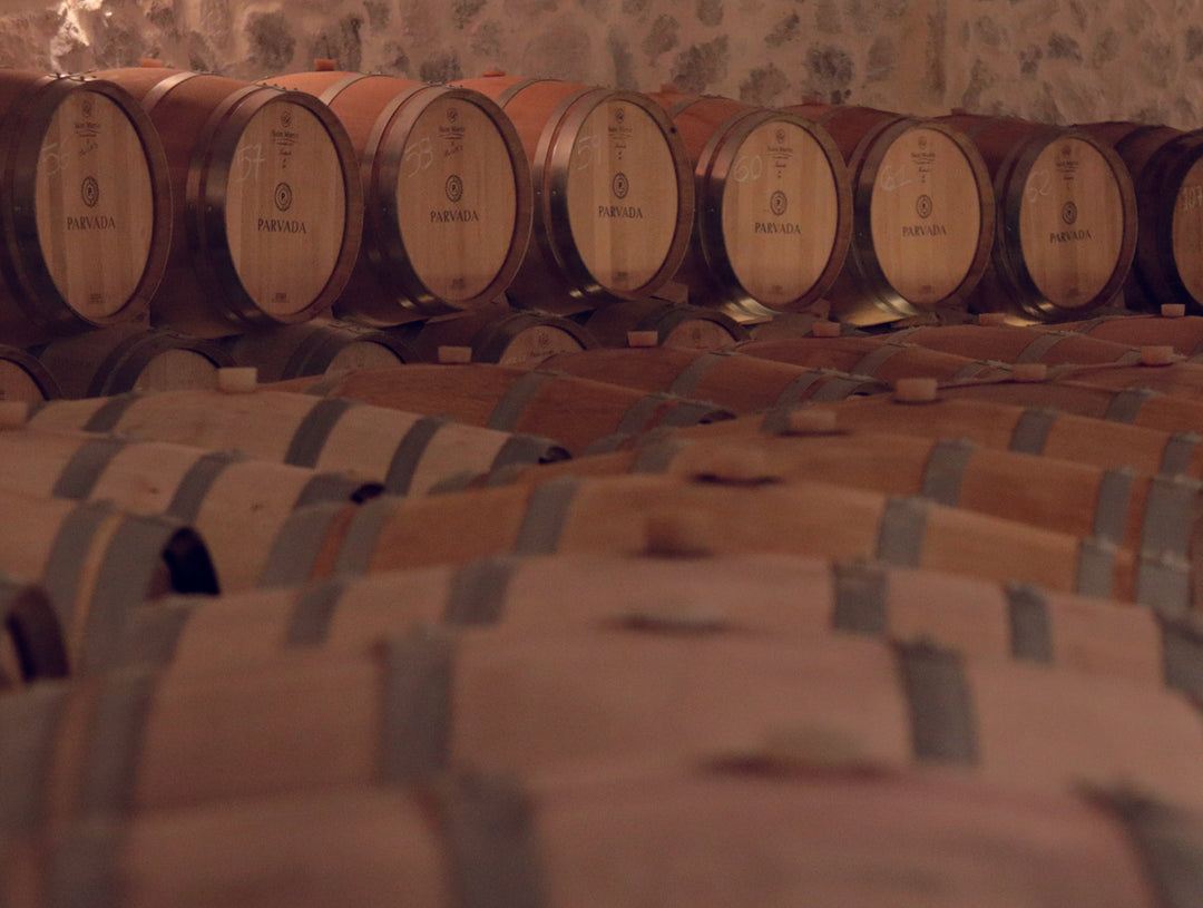 BODEGA – VINICOLA PARVADA