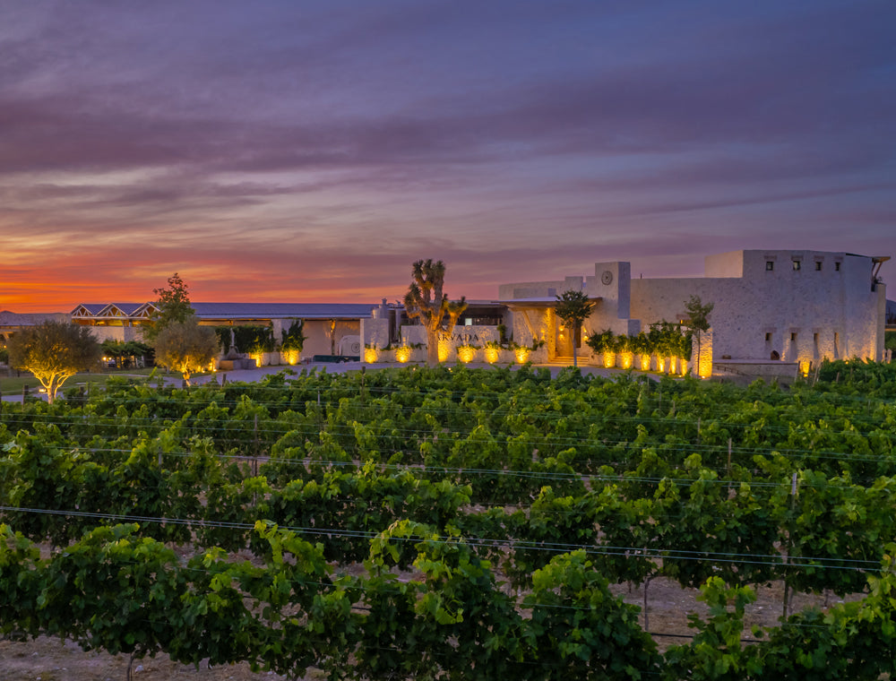 BODEGA – VINICOLA PARVADA