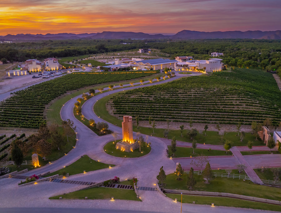 BODEGA – VINICOLA PARVADA